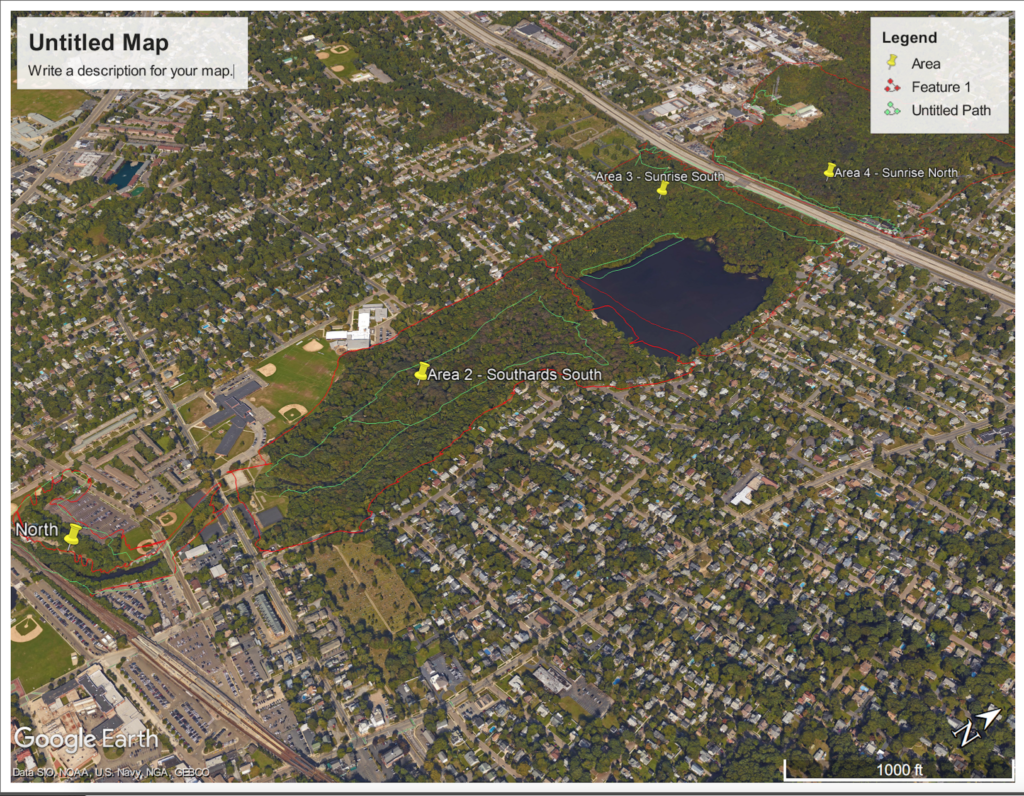 Planting A Swamp Forest In Babylon | Save The Great South Bay